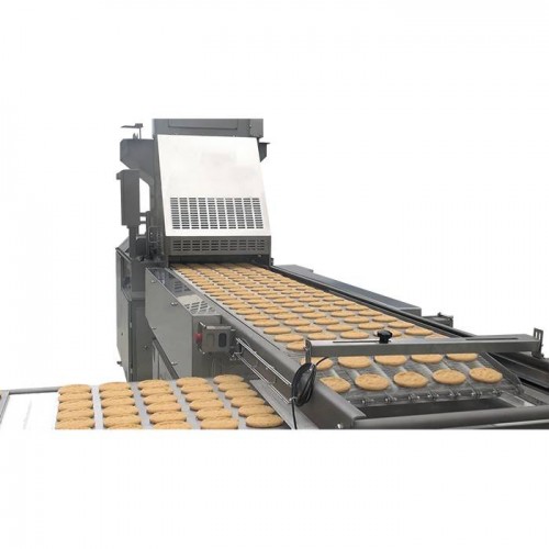Customized Automatic Tray Loading Conveyor Production Line