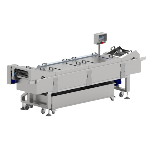 Industrial Conveyor Line Fryers in Ontario Canada