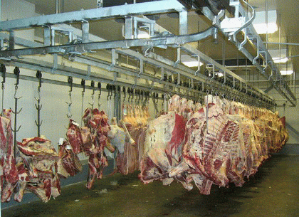 Overhead Rail Systems